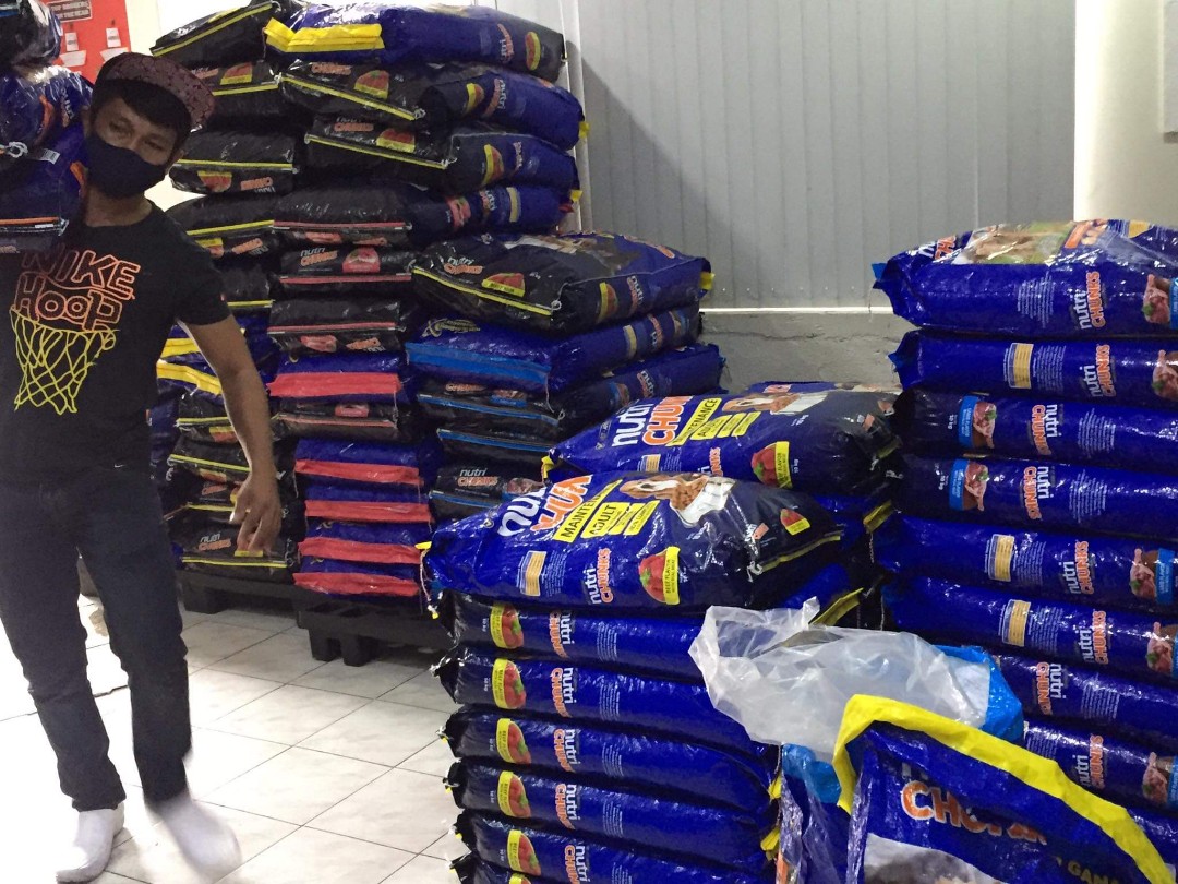 DOG FOOD RESTOCKED, Pet Supplies, Pet Food on Carousell