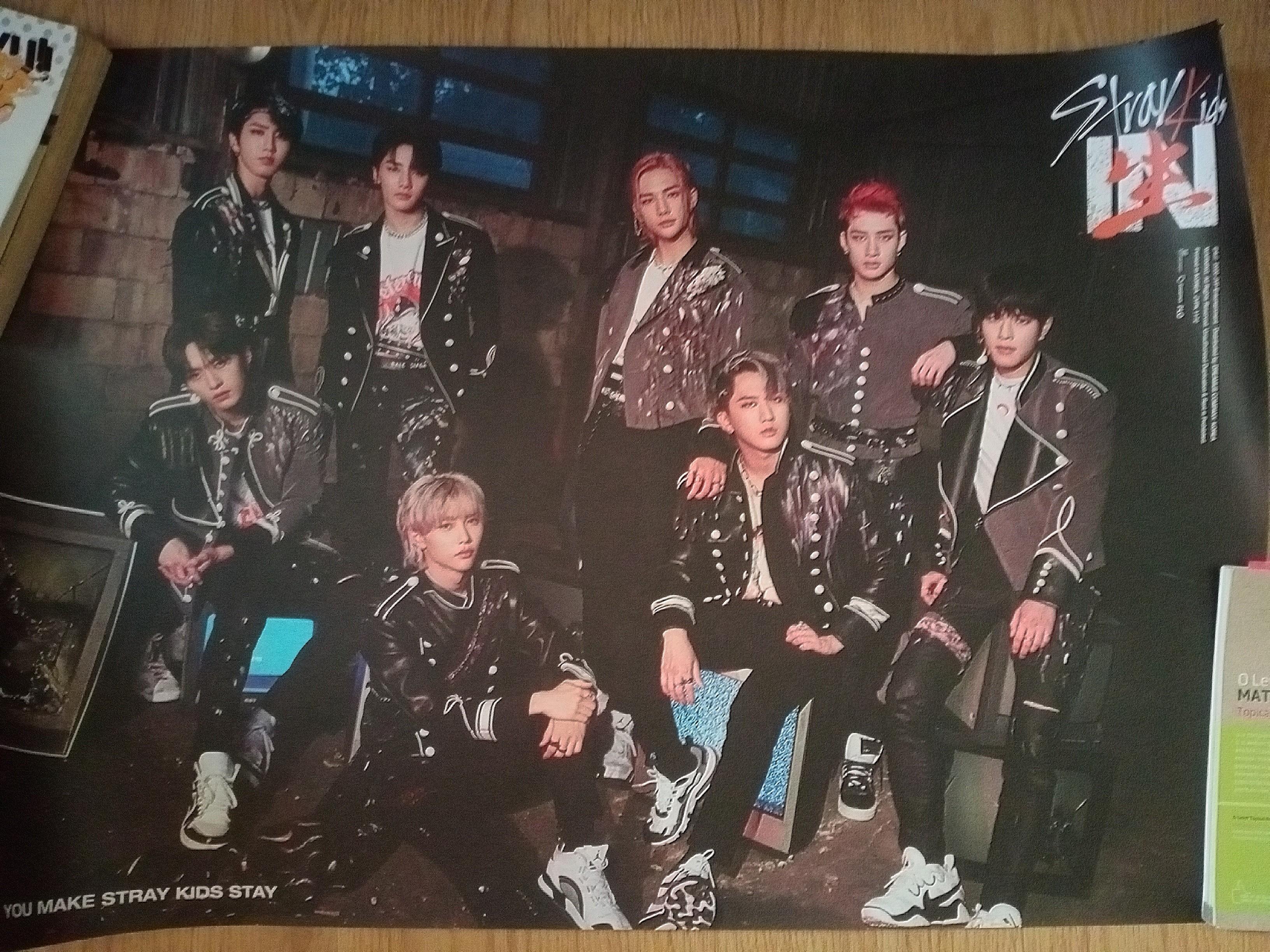wts stray kids skz inlife poster, Hobbies & Toys, Memorabilia ...