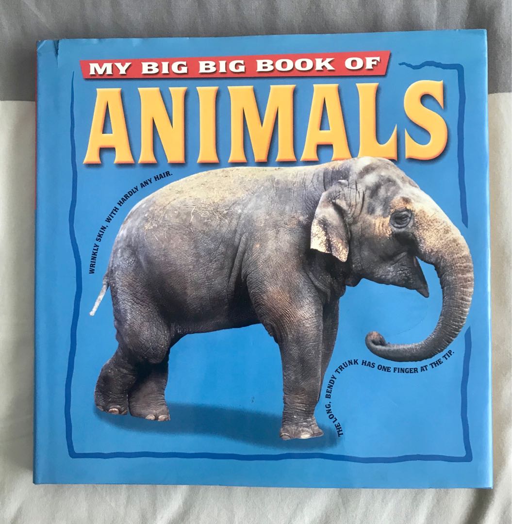 My Big Big Book of Animals, Hobbies & Toys, Books & Magazines, Children ...