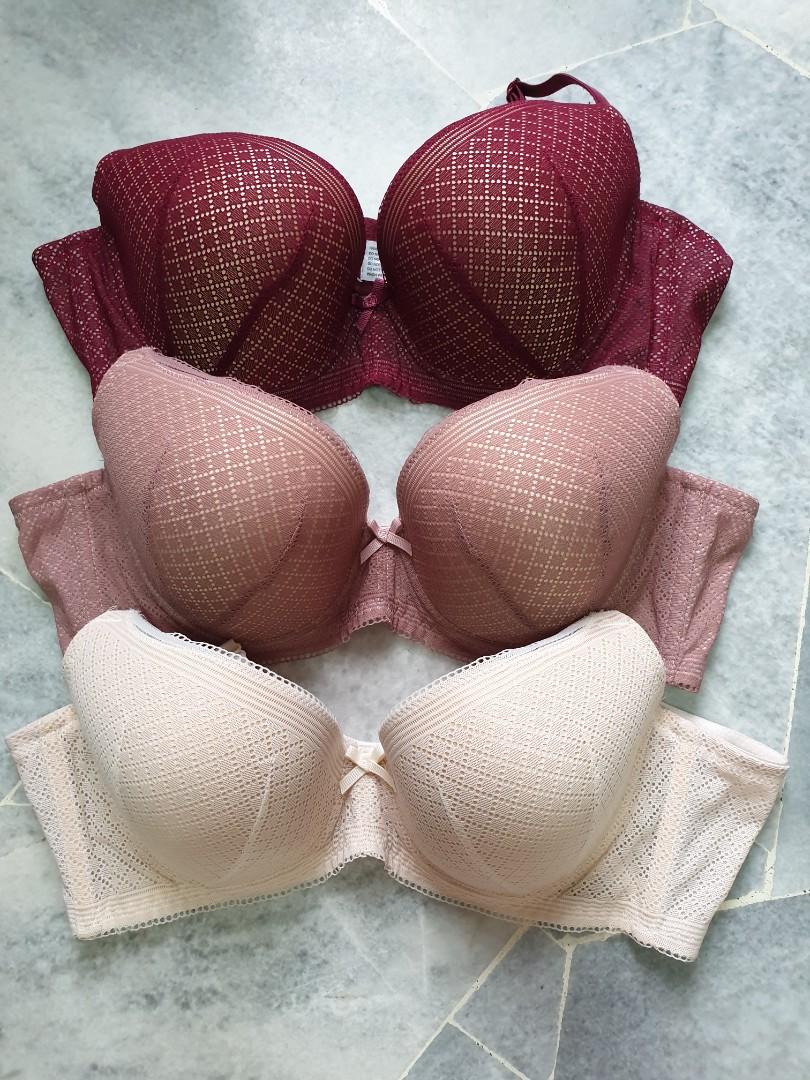 Pierre cardin BRA, Women's Fashion, New Undergarments & Loungewear on ...