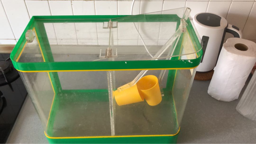 Old school drink container, Food & Drinks, Beverages on Carousell