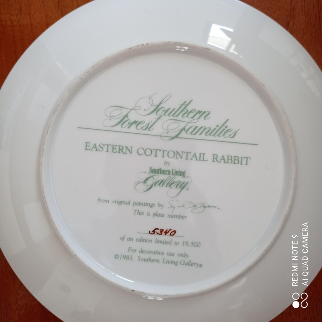Vintage Southern Living Gallery plate (limited edition), Hobbies & Toys ...