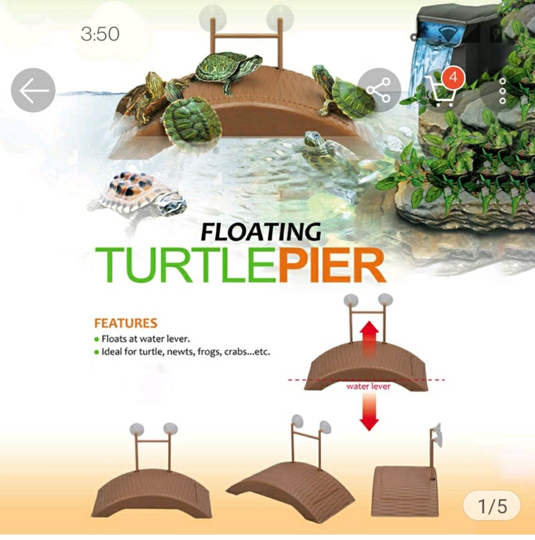 Tortoise floating Plaform, Pet Supplies, Homes & Other Pet Accessories ...