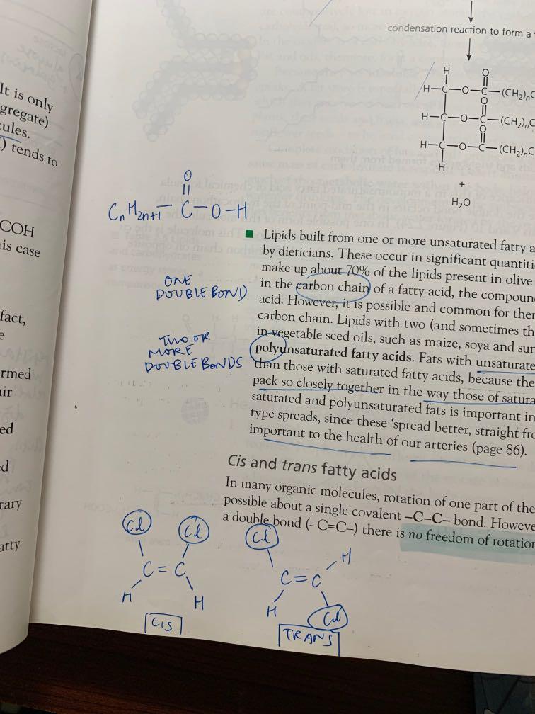 IB BIOLOGY TB: 2nd Ed HODDER EDUCATION: CJ CLEGG, Hobbies & Toys, Books ...