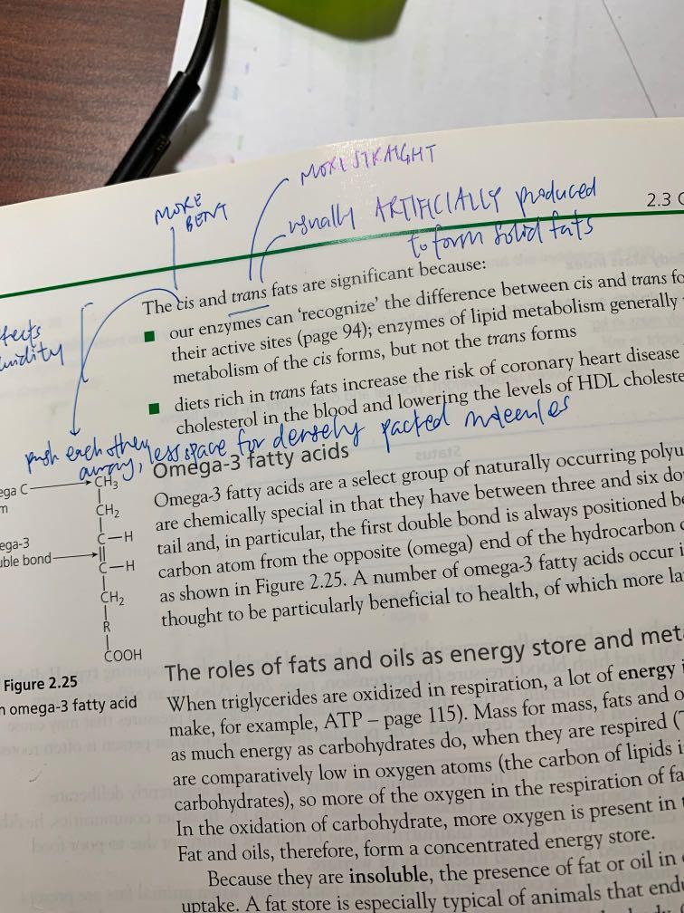IB BIOLOGY TB: 2nd Ed HODDER EDUCATION: CJ CLEGG, Hobbies & Toys, Books ...