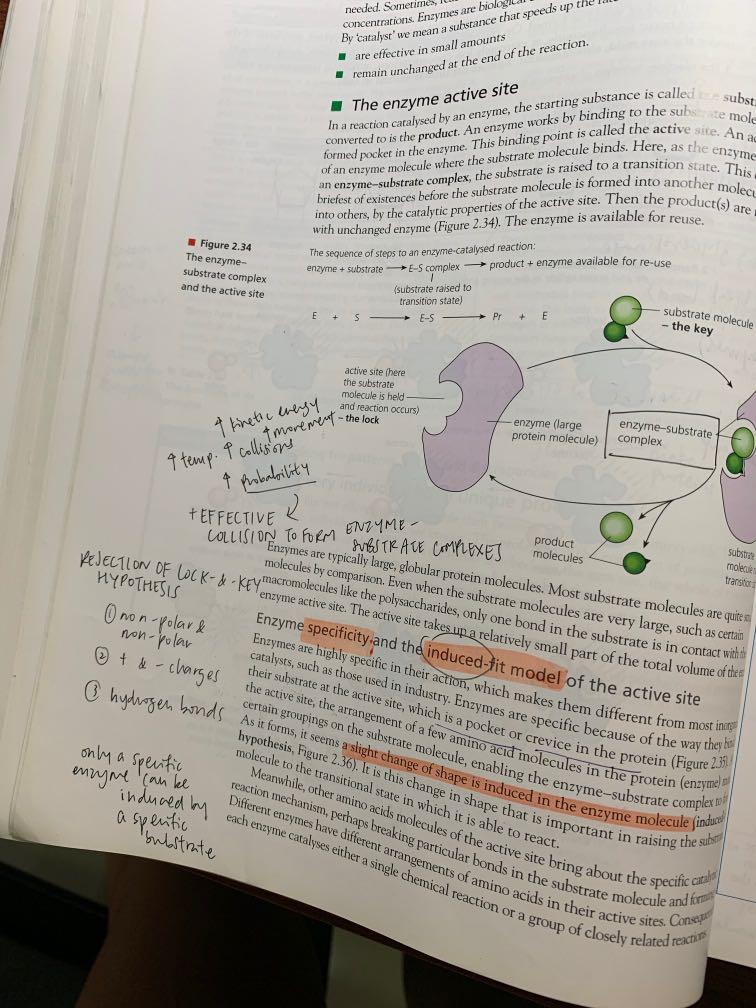IB BIOLOGY TB: 2nd Ed HODDER EDUCATION: CJ CLEGG, Hobbies & Toys, Books ...