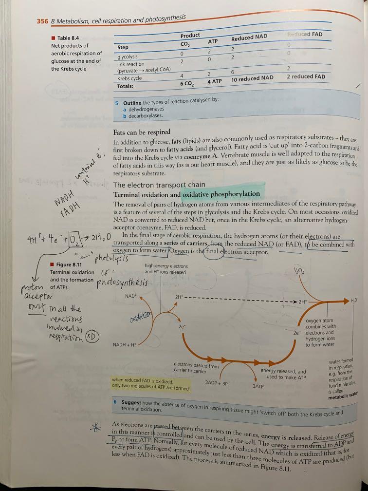 IB BIOLOGY TB: 2nd Ed HODDER EDUCATION: CJ CLEGG, Hobbies & Toys, Books ...