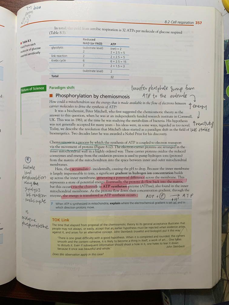 IB BIOLOGY TB: 2nd Ed HODDER EDUCATION: CJ CLEGG, Hobbies & Toys, Books ...