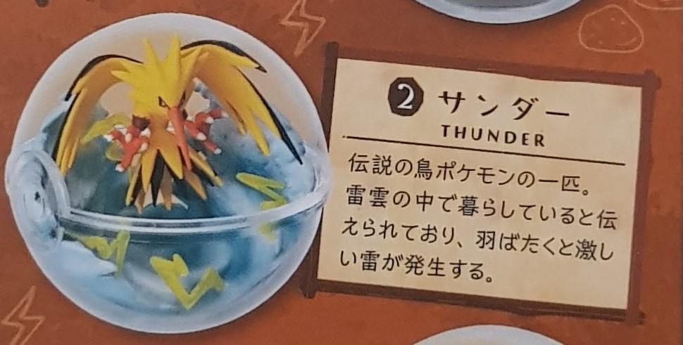 Pokemon Terrarium Collection 3 (Zapdos/Misdreavus/Celebi), Hobbies ...