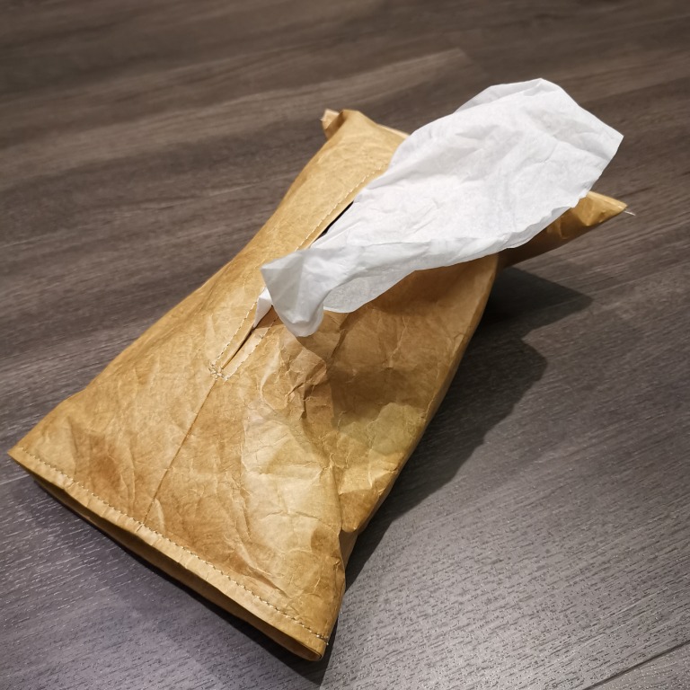 Paper bag tissue pouch (519a), Luxury, Bags & Wallets on Carousell