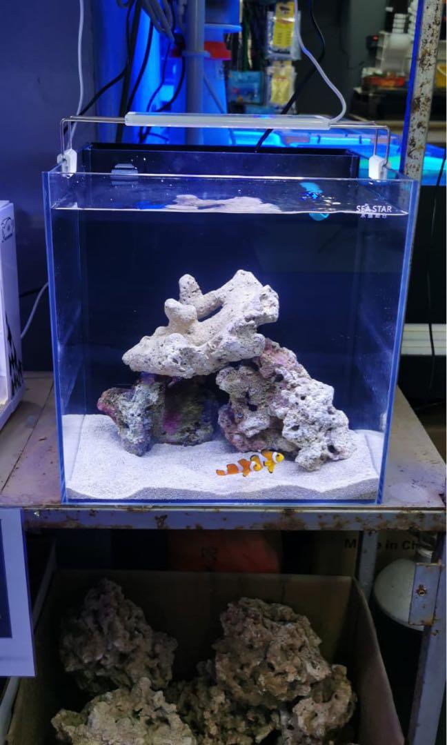 30L Marine Fish Tank with Filter and LED Light (SG Ready Stock), Pet ...