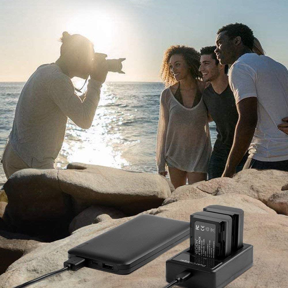 ENEGON Replacement Battery (2-Pack) and Smart LED Dual Charger for Sony ...