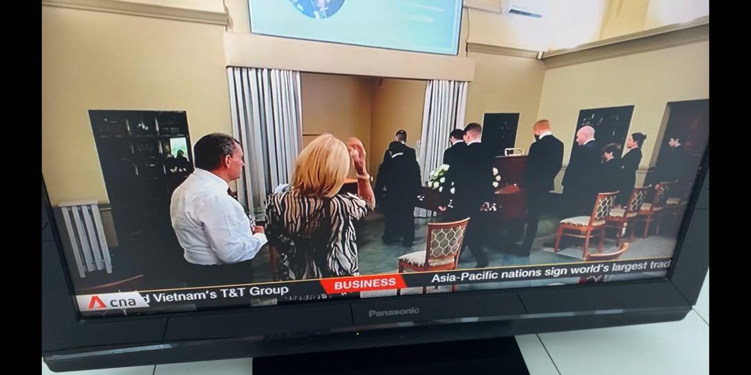 Great Picture - 36 inch Panasonic Viera LCD TV $60!!! Works perfectly ...