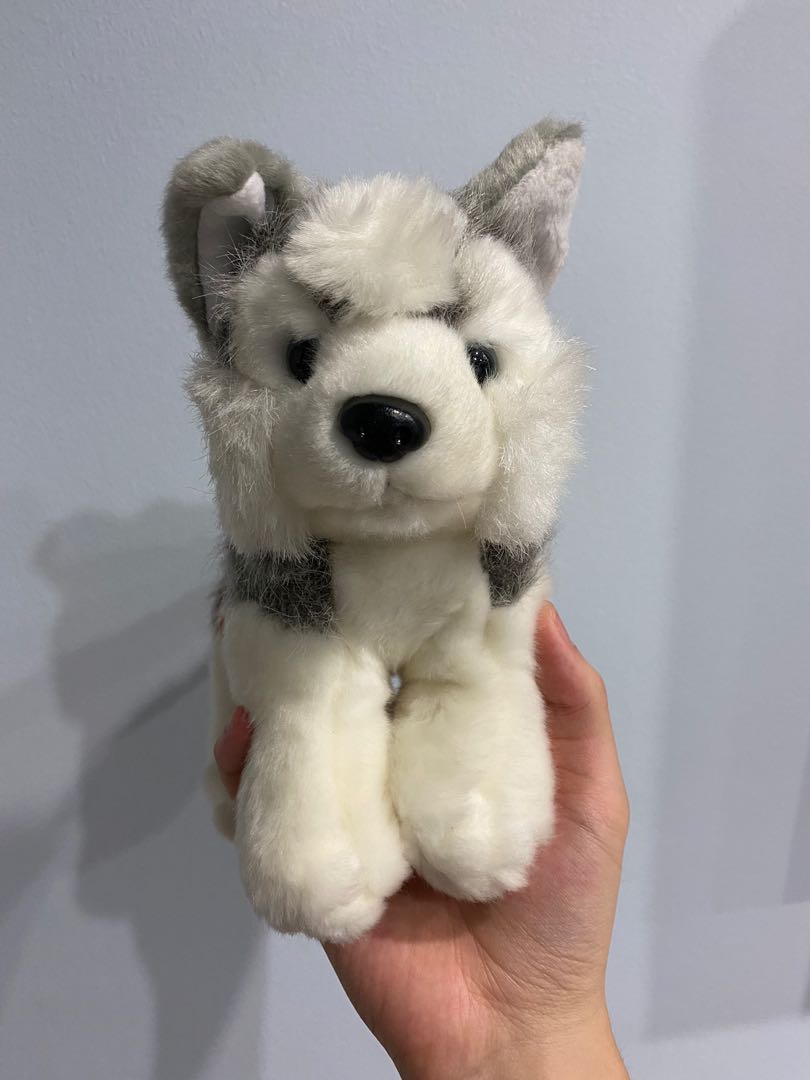 Husky soft toy, Hobbies & Toys, Toys & Games on Carousell
