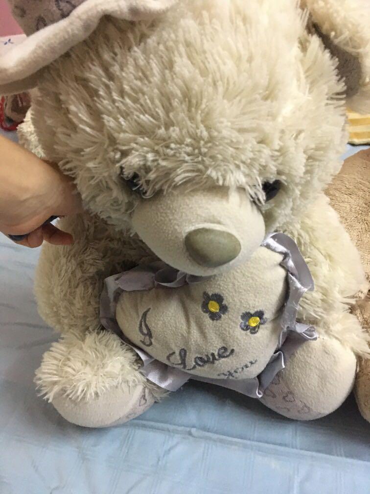 Teddy Bear RM20 eac, Hobbies & Toys, Toys & Games on Carousell