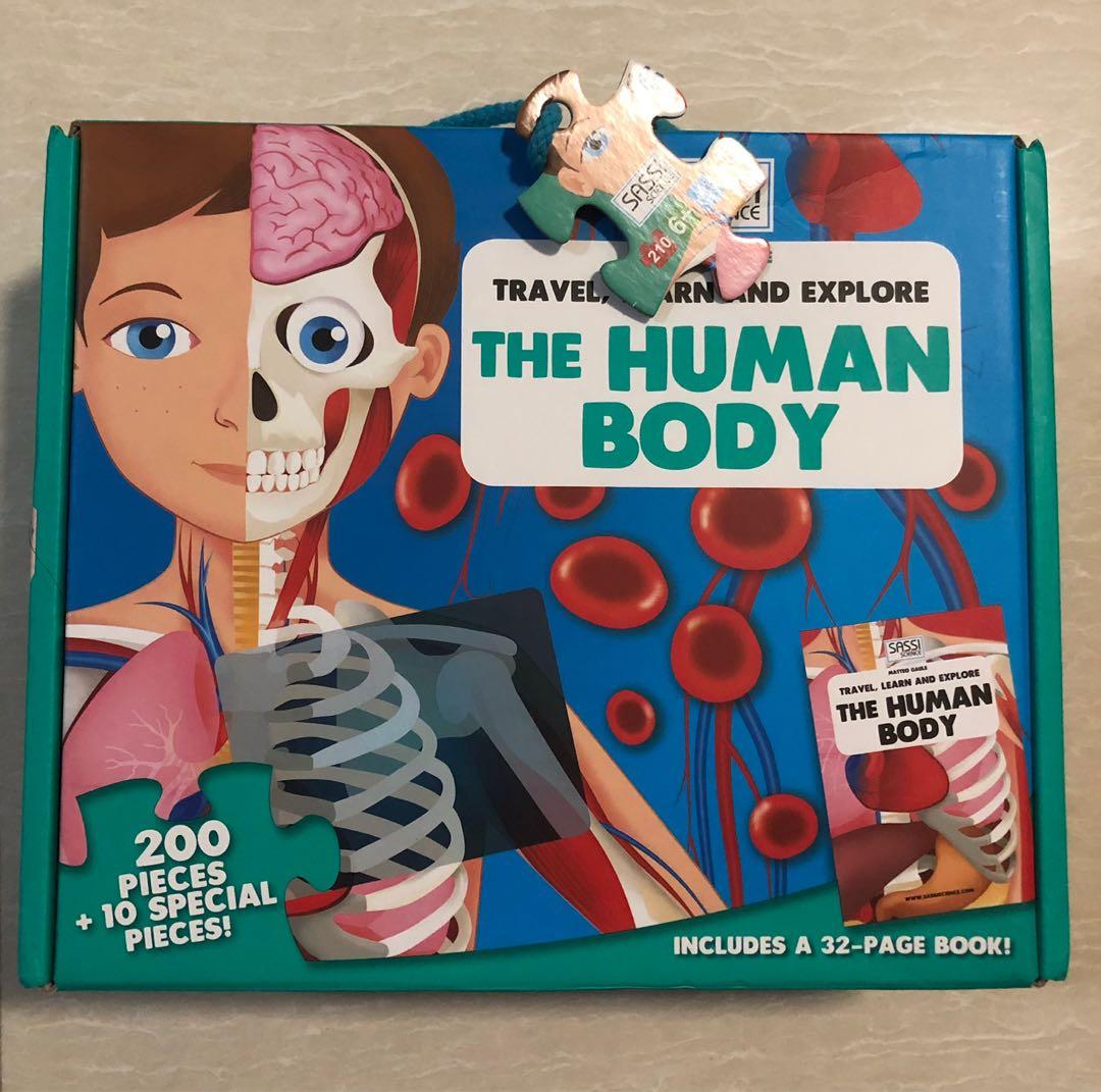 The Human Body life size puzzle, Hobbies & Toys, Toys & Games on Carousell