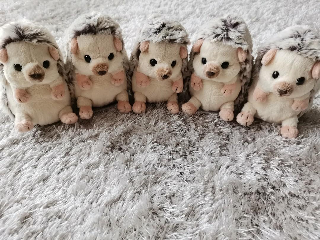 NCT 127 DOYOUNG SUNLEMON PLUSH DOLL FLUFFIES HEDGEHOG DOCHI, Hobbies ...