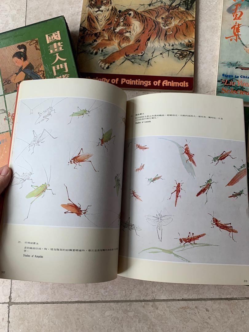 Traditional Chinese painting technique guide book, Hobbies & Toys ...
