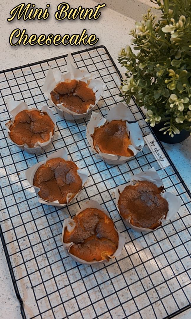Mini burnt cheesecake, TV & Home Appliances, Kitchen Appliances, BBQ ...