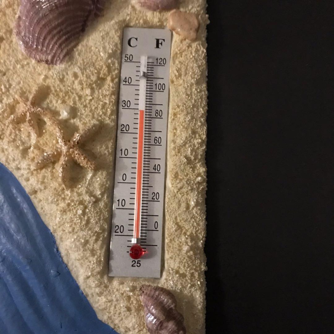 Thermometer seashell beach design resin wall display , Furniture & Home ...