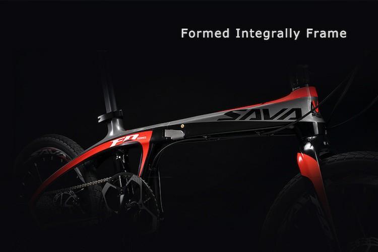 SAVA Z1 9 or 20 speed Carbon Folding bike 20" inch, Sports Equipment ...