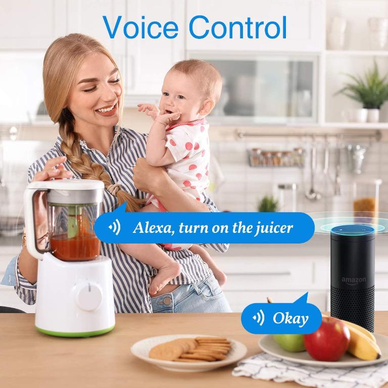 Smart Plug,2NICE Alexa WiFi Smart Socket Works with Alexa,Google Home ...