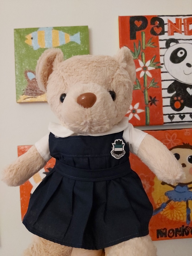 Raffles Girls Primary School #psle #graduationbear (34cm), Toys & Games ...