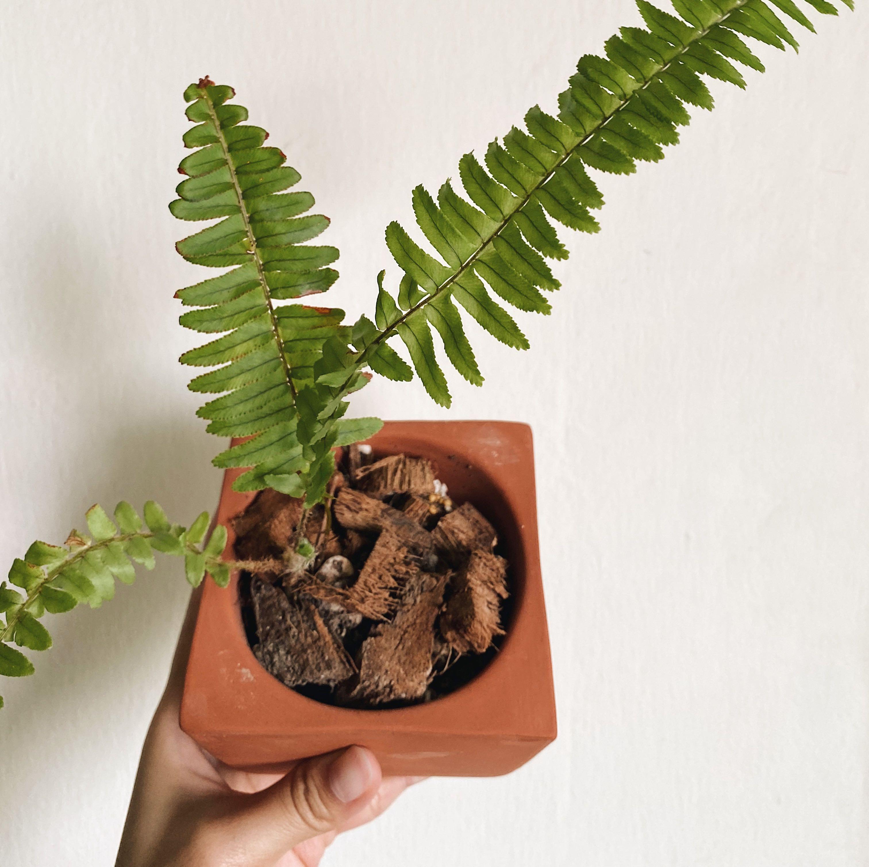 The Tetris Plant Pot, Furniture & Home Living, Gardening, Plants ...