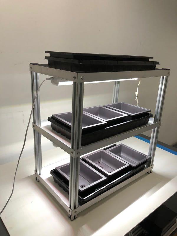 Two tier grow rack, Furniture & Home Living, Gardening, Pots & Planters ...