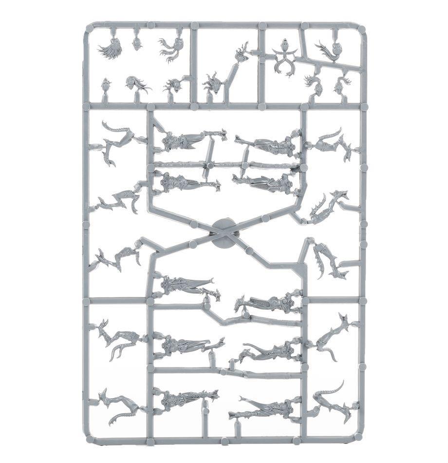 Warhammer AOS Shadow & Pain Hedonites of Slaanesh half set, Hobbies ...