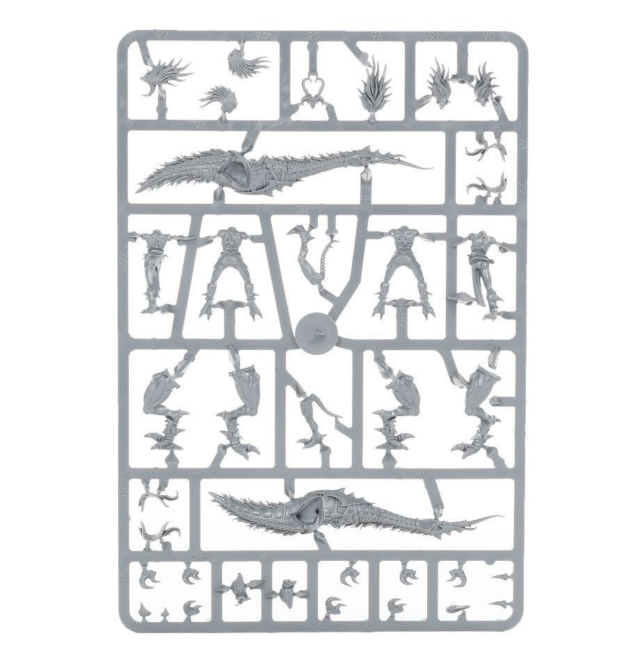 Warhammer AOS Shadow & Pain Hedonites of Slaanesh half set, Hobbies ...