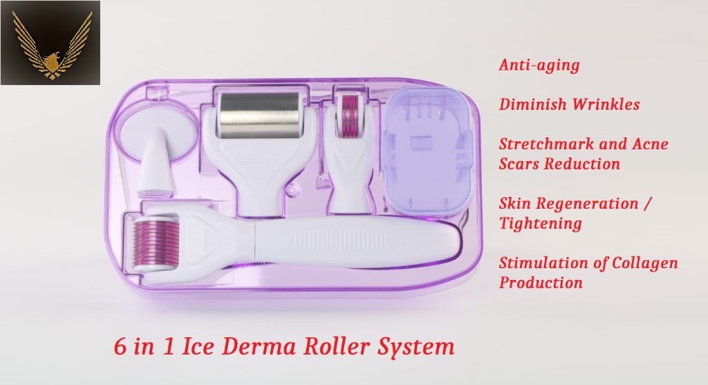 BRAND NEW MEDICAL GRADE TITANIUM MICRONEEDLING KIT 6-in-1 DERMA ROLLER ...
