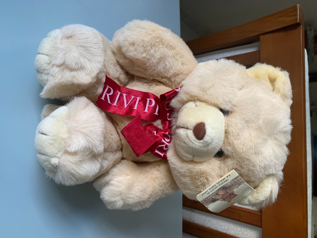 Yoshi Pet - Teddy Bear, Hobbies & Toys, Toys & Games on Carousell