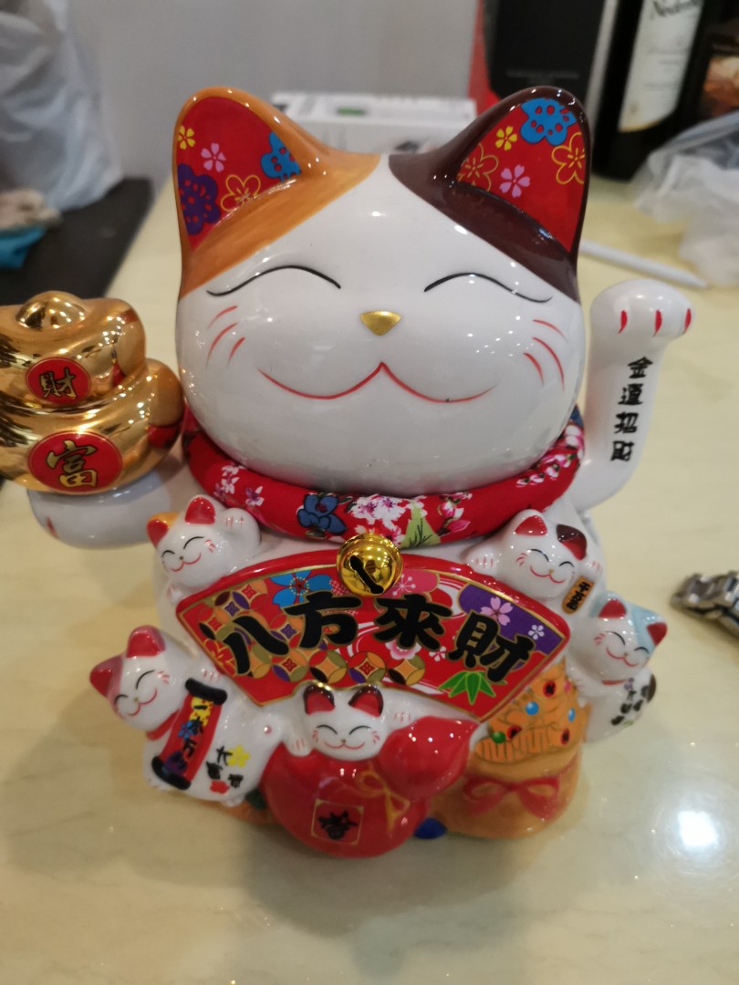Fai cai cat. For display., Hobbies & Toys, Memorabilia & Collectibles ...