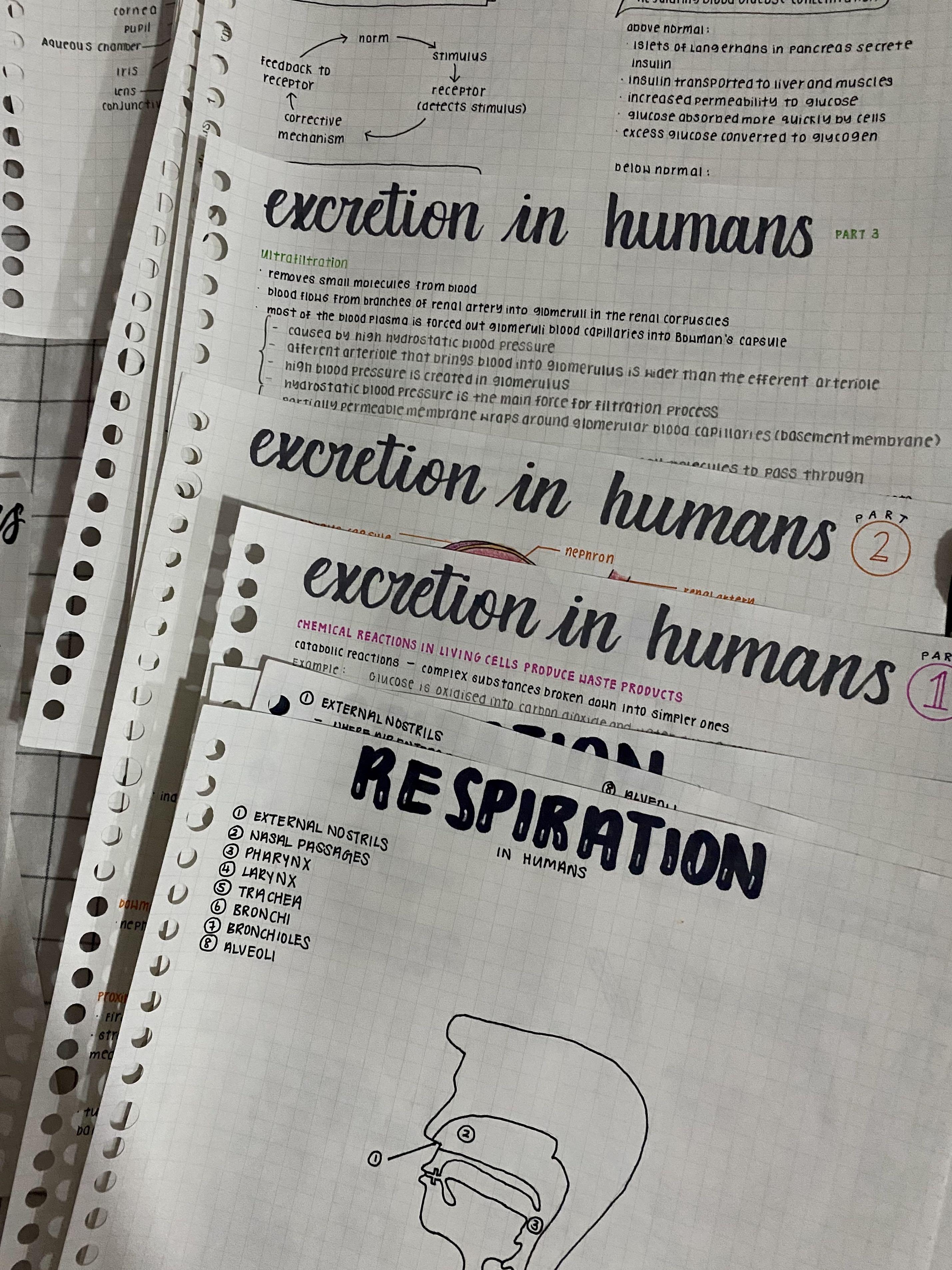 O LEVEL Pure Biology Notes, Hobbies & Toys, Books & Magazines ...