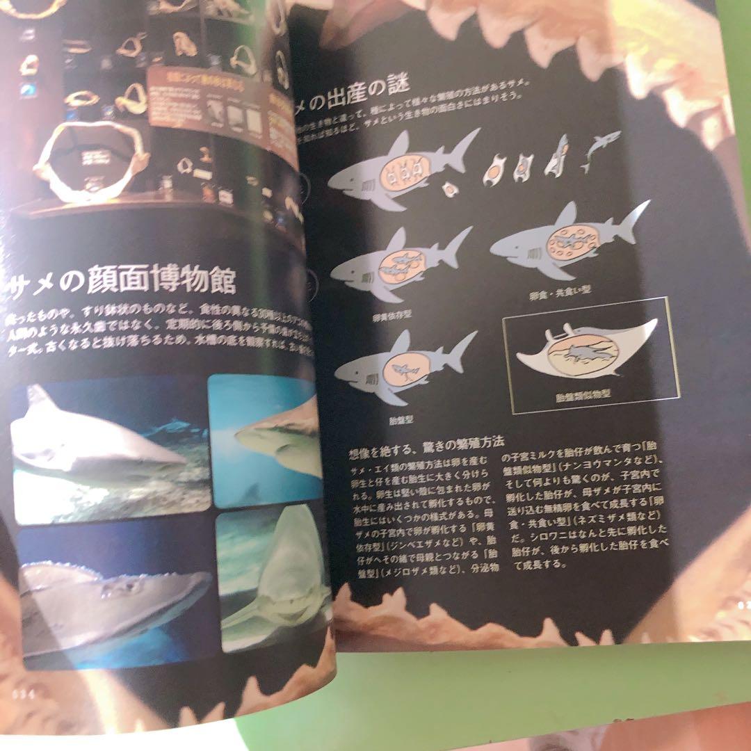 okinawa japan aquarium guide book animals ocean 日本沖繩水族館書, 興趣及遊戲, 書本 ...