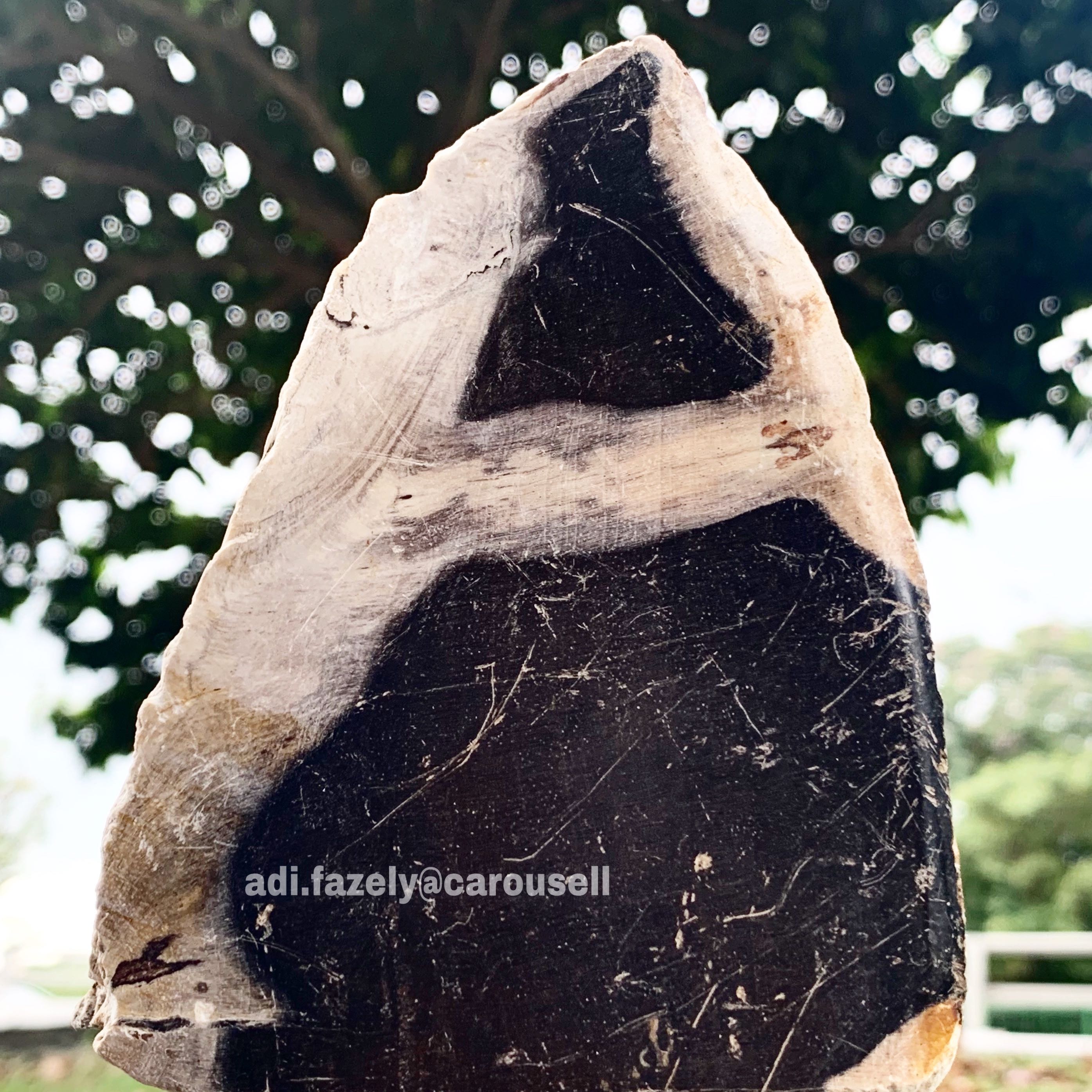 Raw Display of Fossilised Kayu Gemunggal/Kelo (with “A” motive ...