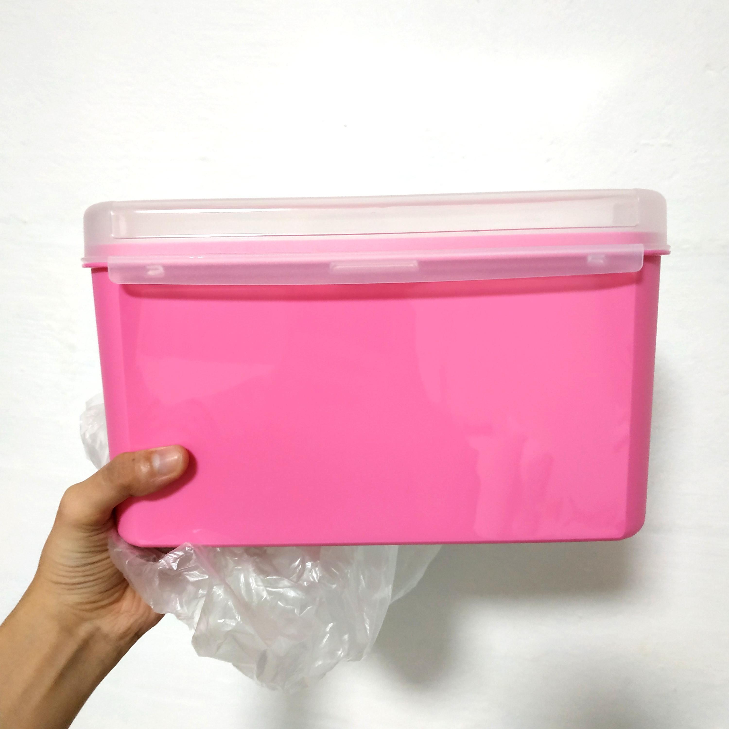 Tupperware 2.6L Small Rectangle Clear Ezy Keeper Holder Container Box ...