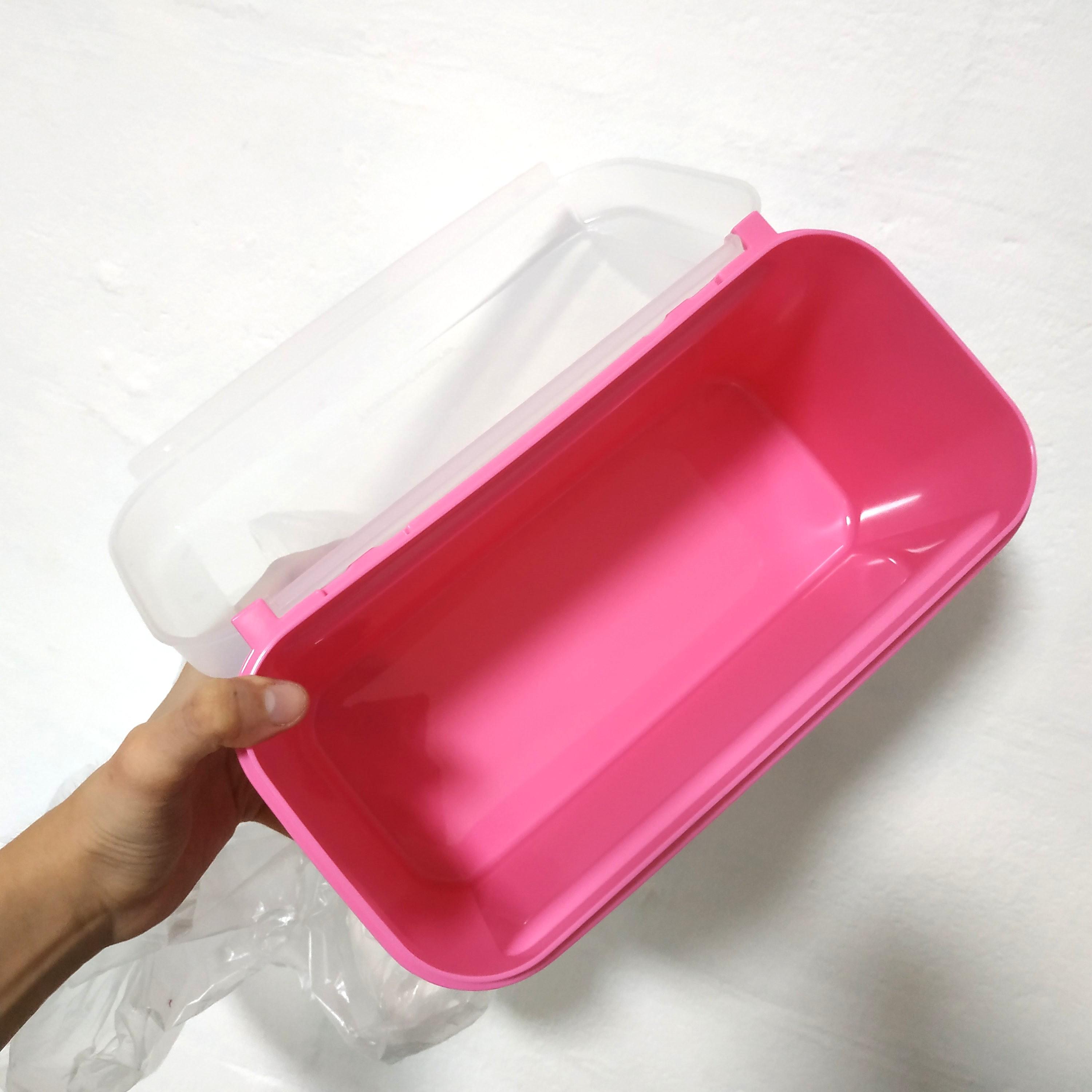 Tupperware 2.6L Small Rectangle Clear Ezy Keeper Holder Container Box ...