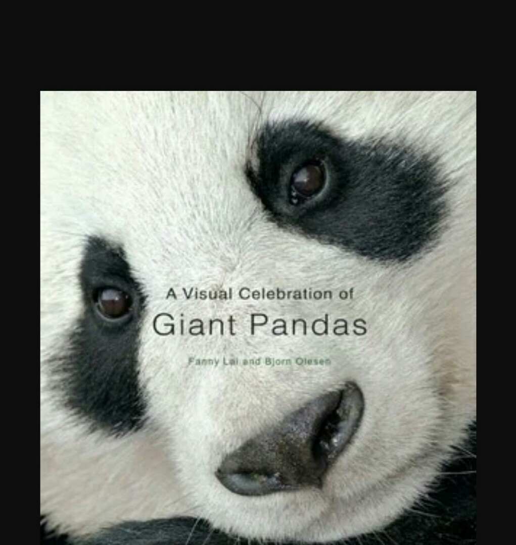 A VISUAL CELEBRATION OF GIANT PANDAS, FANNY LAI AND BJORN OLSEN, Books ...