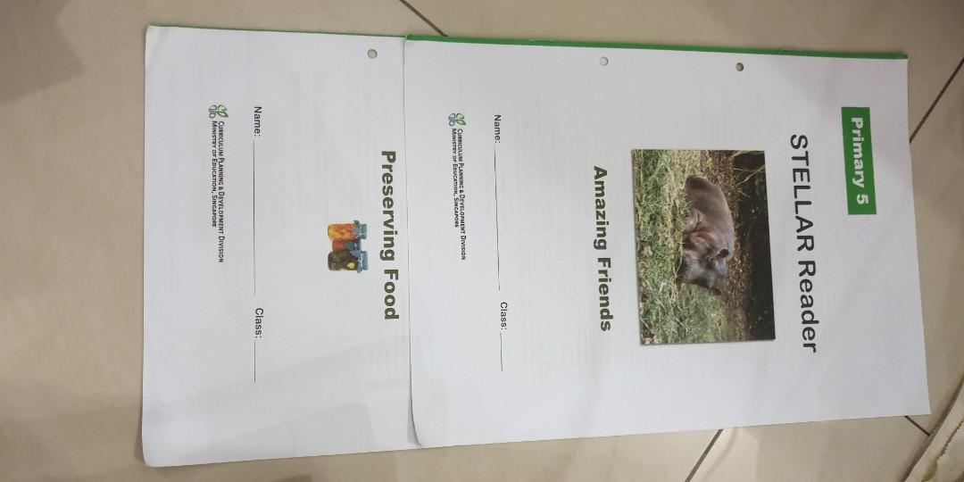 P5 Stellar Reader, Everything Else on Carousell