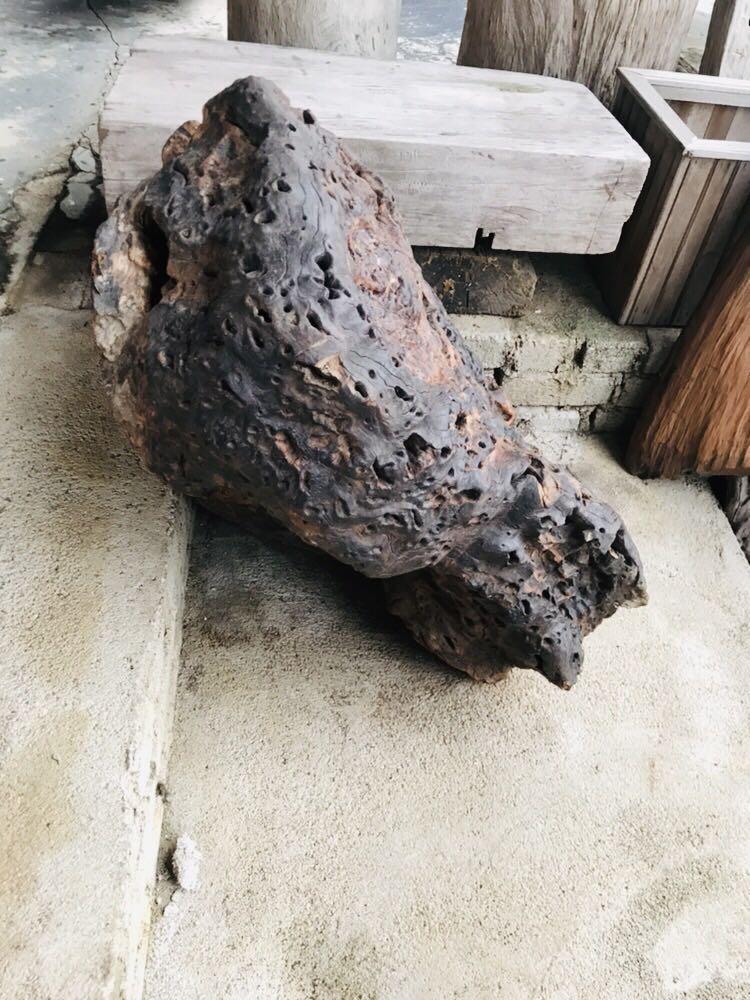 burl kayu cengal, Furniture & Home Living, Gardening, Gardening Tools ...