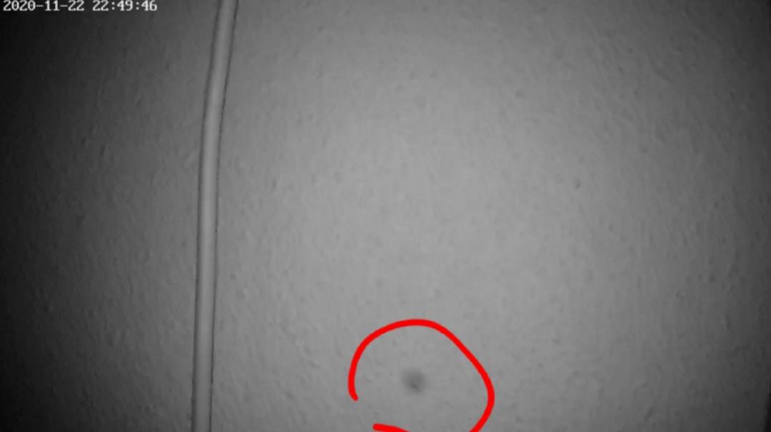 Cenix IP Camera, Furniture & Home Living, Security & Locks, Security ...