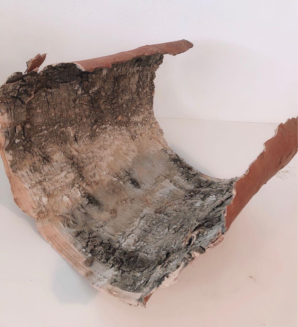 Real Birch Bark, Furniture & Home Living, Home Decor, Vases ...