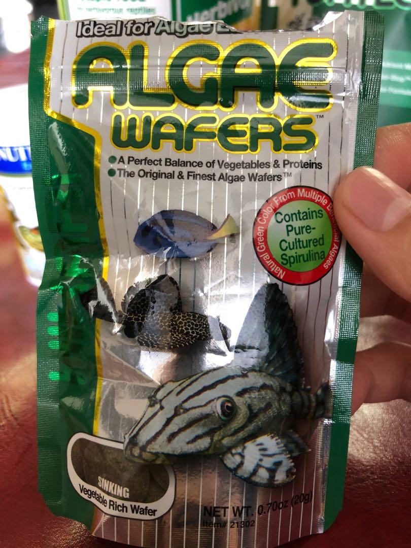Terrapin / Turtle Food - pellets, vegetable sticks, wafer, Pet Supplies ...