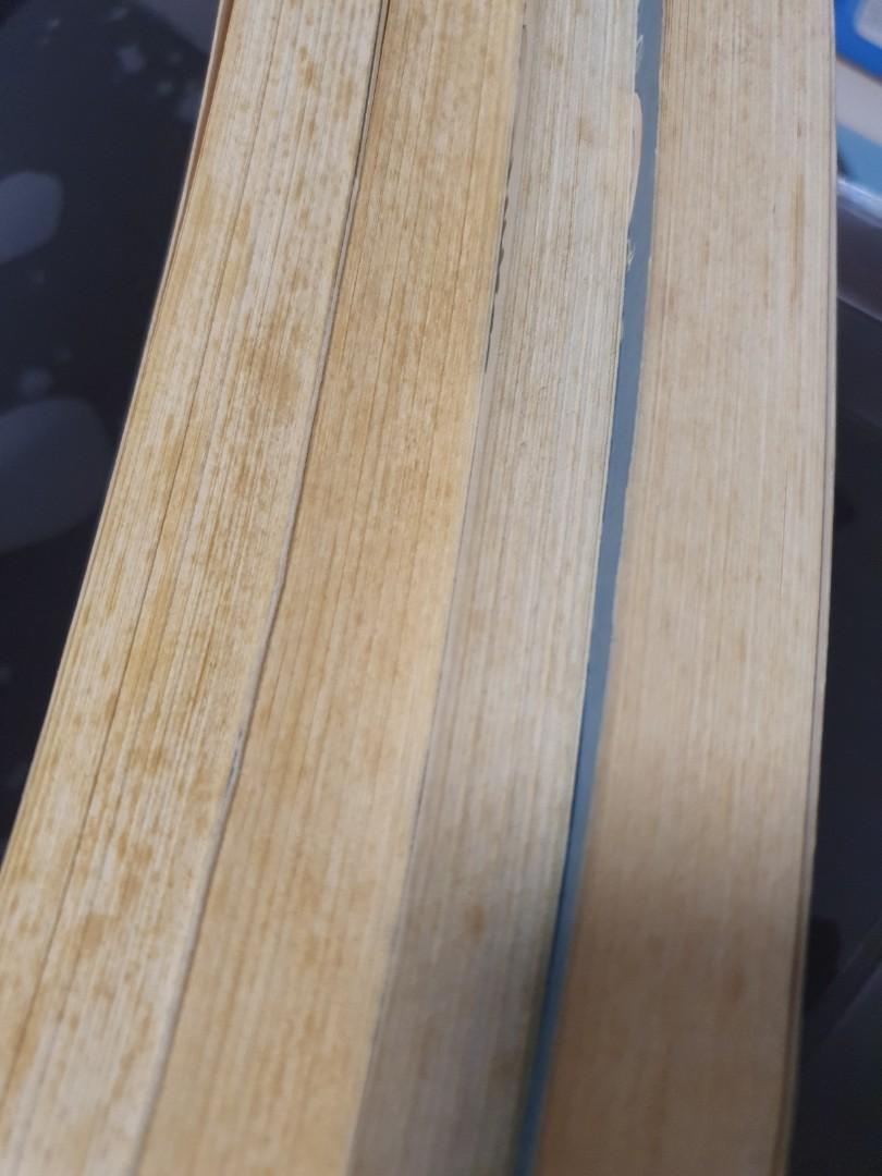 Mount Emily- Books 1-4, Hobbies & Toys, Books & Magazines, Children's ...