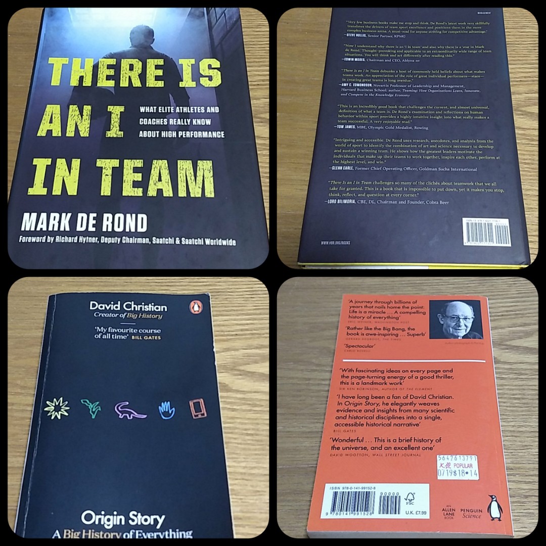 Used books - There is an I in team - Origin Story: The big history of ...