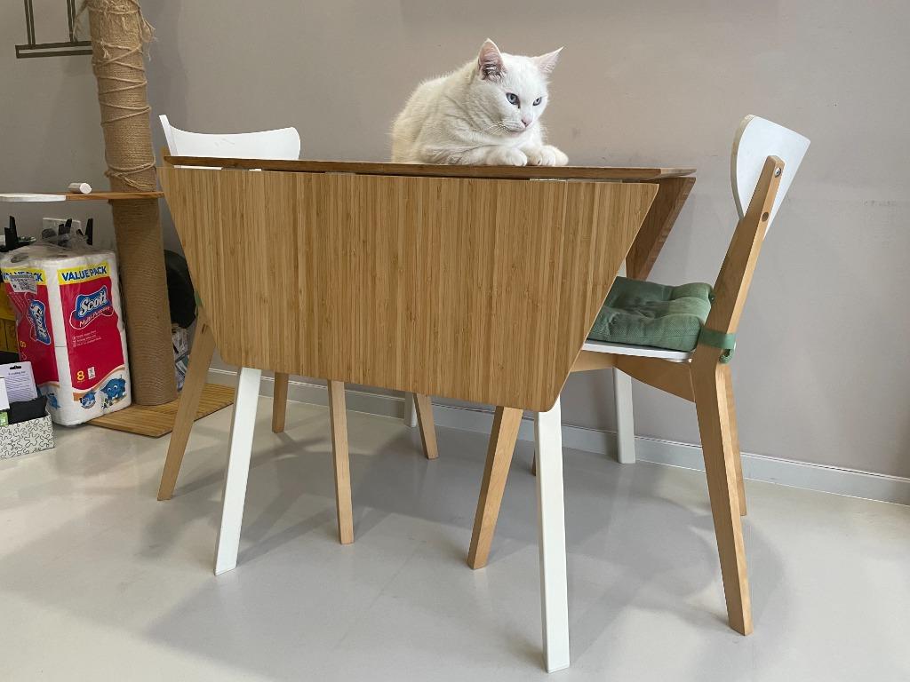IKEA PS 2012 Drop-leaf table Bamboo/White Dining Table with Chairs ...