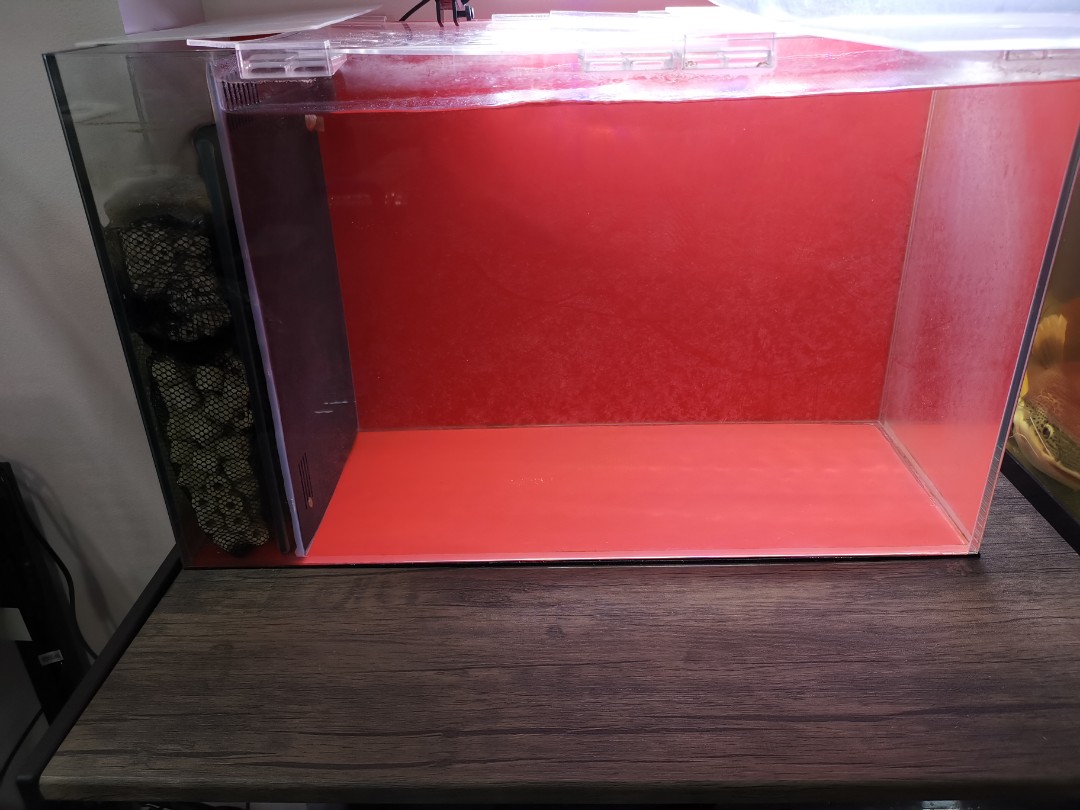 2ft ios tank, Pet Supplies, Homes & Other Pet Accessories on Carousell