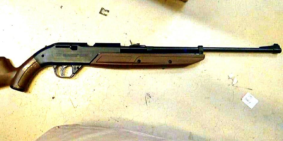 Airsoft Crosman Pumpmaster Daisy Buck Air Rifle on Carousell